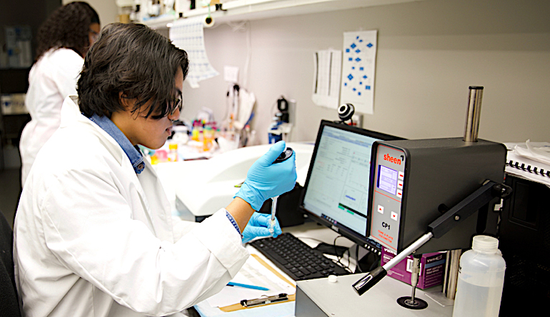 EyeCRO™ – Preclinical Ophthalmic Research — Preclinical Ophthalmic ...