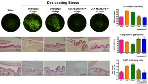 Dry Eye Disease - EyeCRO